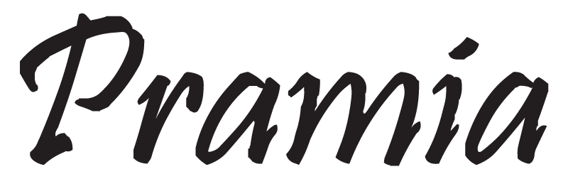 Pramia – Kaleva Media yrityksille